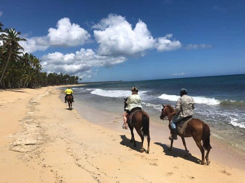Punta Cana Beach Horseback Riding Tour - Authentic Experiences and Traveler Insights
