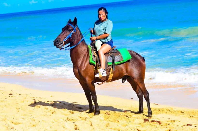 Punta Cana: Beach Sunset Horseback Riding with Hotel Pickup - An In-depth Look at the Sunset Horseback Ride