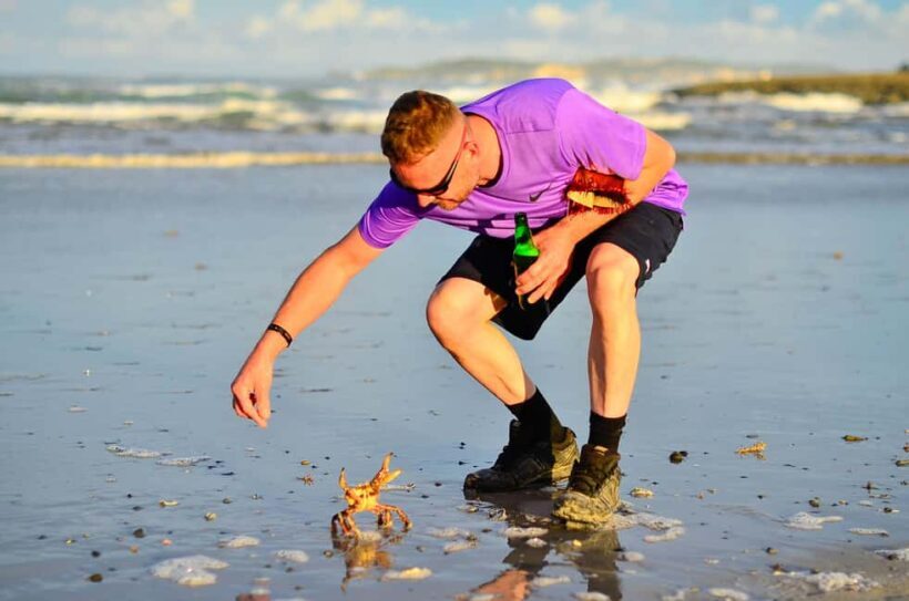 Punta Cana: Beach Sunset Horseback Riding with Hotel Pickup - Final Thoughts