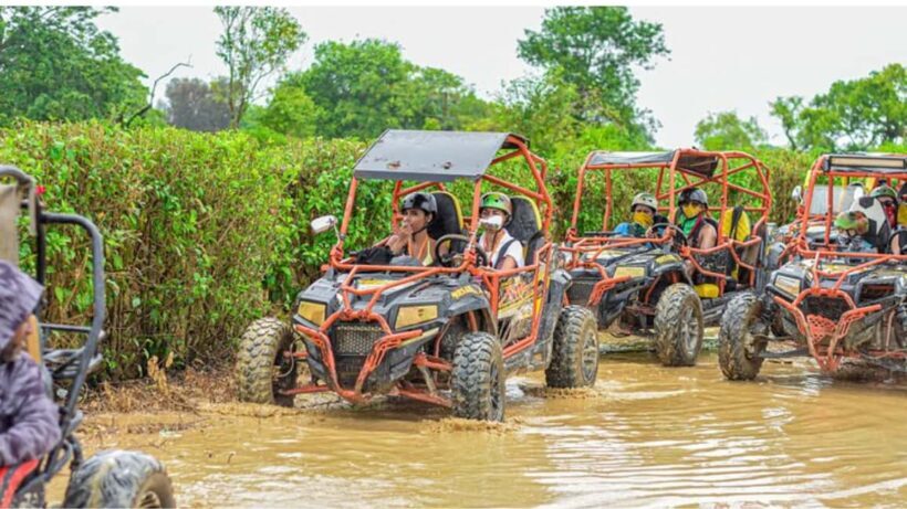 Punta Cana Boogie Adventure - Real-World Insights from Reviews