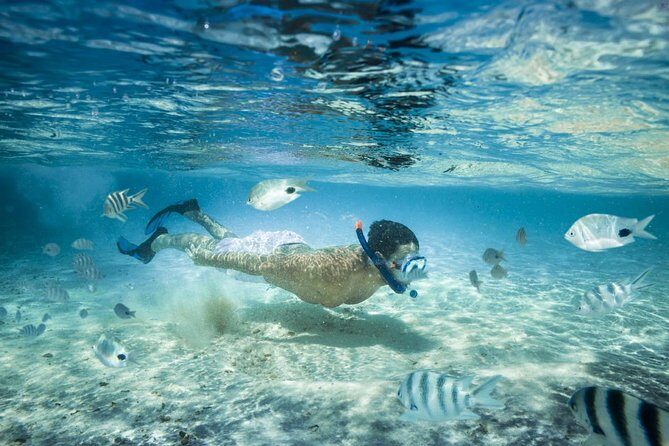 Punta Cana Booze Cruise with Snorkeling, Natural Pool & Open Bar - A Detailed Look at the Punta Cana Booze Cruise Experience