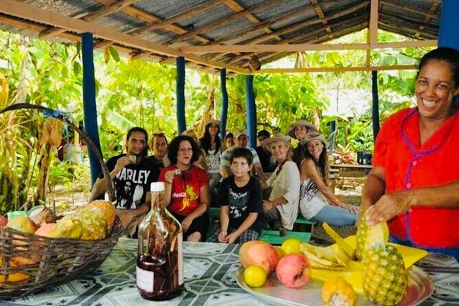 Punta Cana Buggy Adventure - Safety Considerations