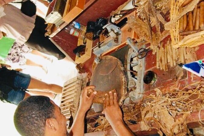 Punta Cana Buggy Adventure - Is This Tour Right for You?