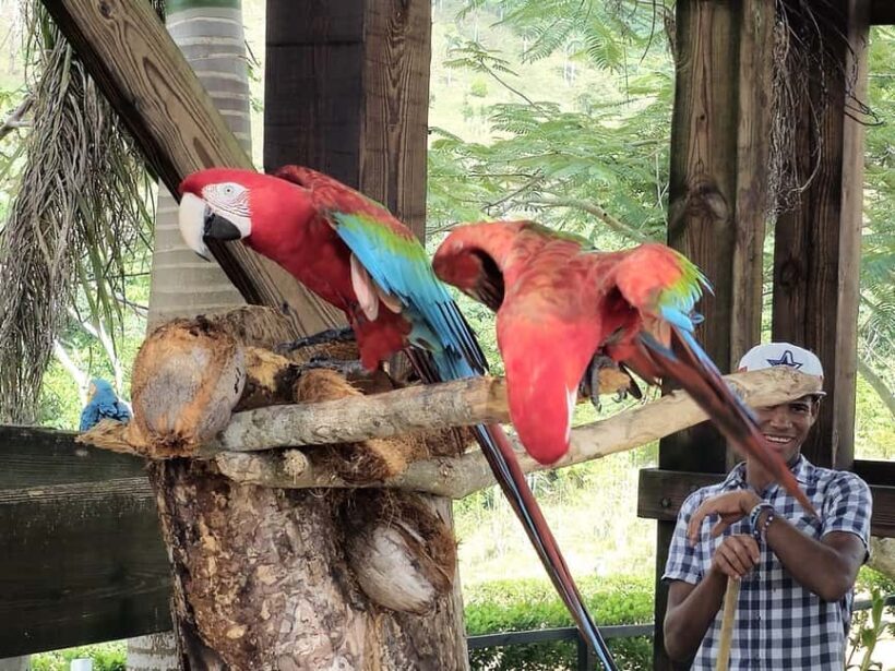Punta Cana: Buggy and Zipline Adventure at La Hacienda - The Experience for Different Travelers