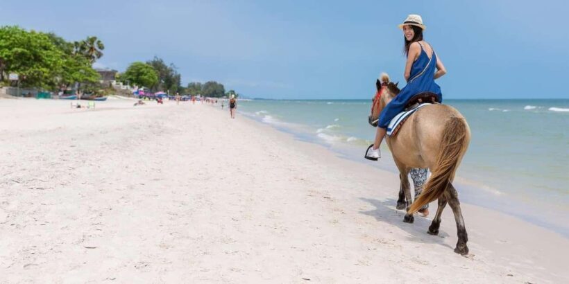 Punta Cana: Buggy, Horseback Riding, Zipline, and Catamaran - An In-Depth Look at the Experience