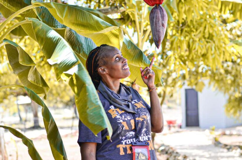 Punta Cana Buggy Tour: Magical Caves, Dream Beaches & Culture - Who Should Consider This Tour?