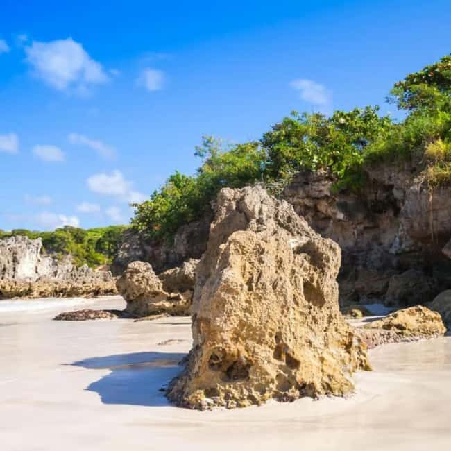 Punta Cana: Buggy Tour with Macao Beach Visit - An In-Depth Look at the Tour Experience