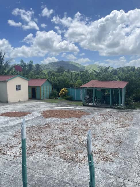 Punta Cana: Cacao, River, and Basilica Tour with Swim - A Practical Breakdown of the Tour