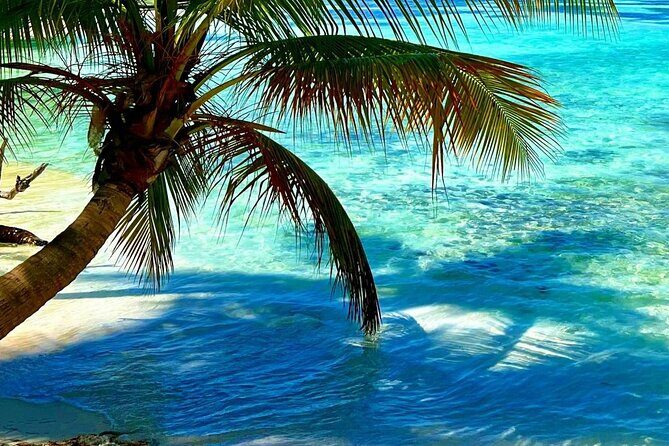 Punta Cana Catalina Island Catamaran Tour Package Deal - Who Will Love This Tour?