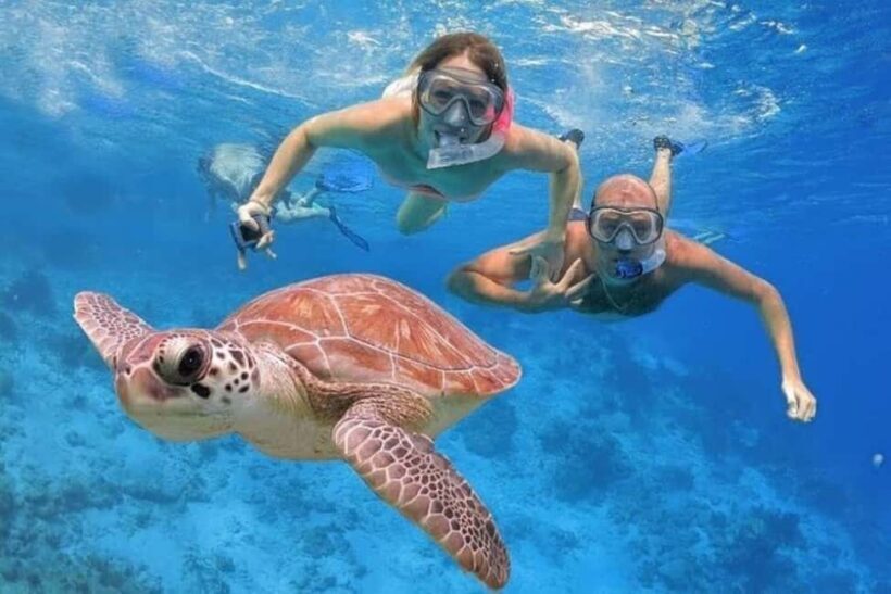 Punta Cana: Catalina Island Classic or VIP Sailing Tour - A Day on Catalina Island: Snorkeling, Beaches, and Relaxation