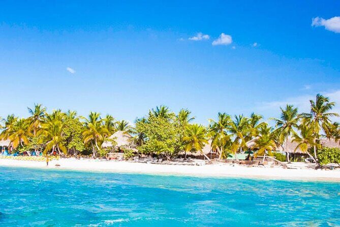 Punta Cana: Catalina Island Diving And Snorkeling - Key Points