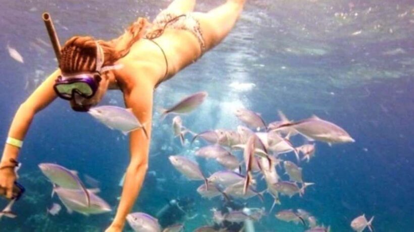 Punta Cana: Catalina Island Snorkeling Tour with Lunch - Key Points