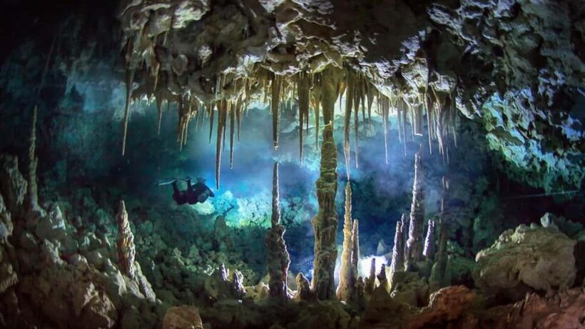 Punta Cana: Cave Diving Experience at Two Unique Dive Spots - Key Points