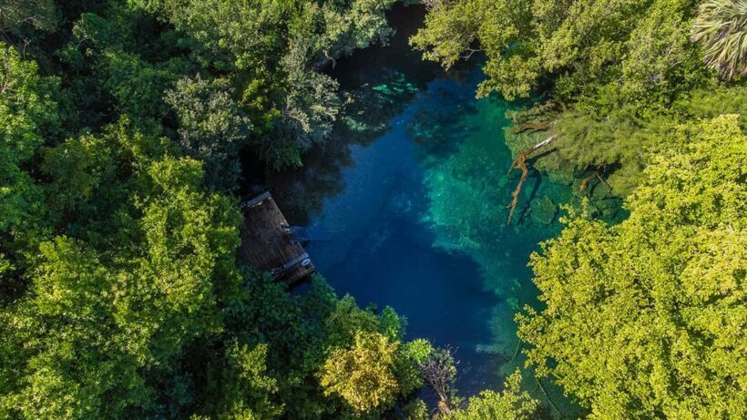 Punta Cana Cenote: Floating Sound Healing & Swim - Costs & Value