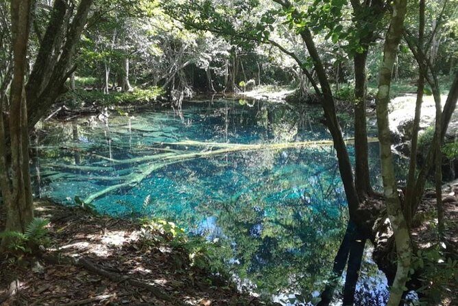 Punta Cana Cenote Hoyo Claro Hiking Tour + Juanillo Beach - FAQ