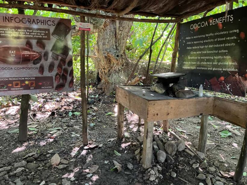 Punta Cana: Coffee Plantation, Chocolate, and Sugar Cane - Who Would This Tour Suit?