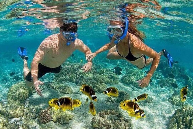 Punta Cana Combo: Diving, Parasailing, Snorkeling & Party Boat (Half Day) - Key Points