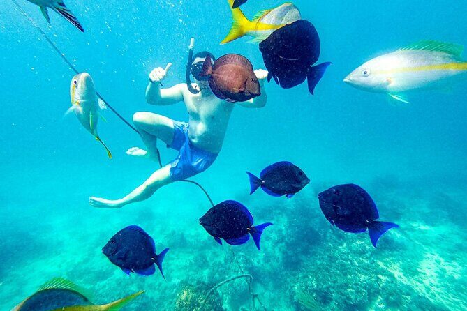 Punta Cana Coral Reef Restoration & Snorkelling Experience - FAQs