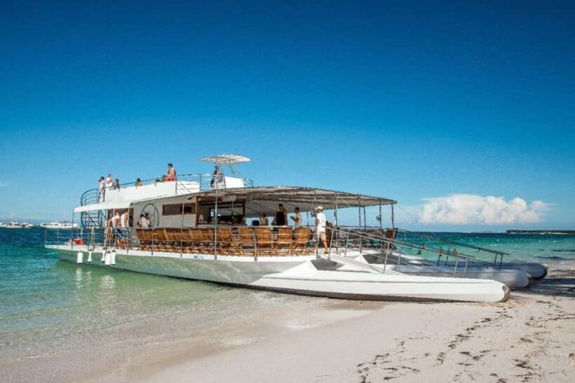 Punta Cana Culinary sunset party on a luxury catamaran - Setting the Scene: What to Expect on the Black Shark