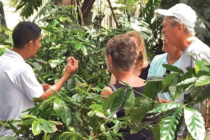 Punta Cana: Cultural half-day tours in the Dominican Republic - Who Would Enjoy This Tour the Most?