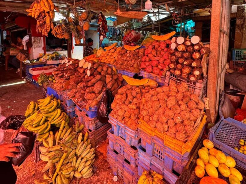 Punta Cana Cultural Tour History and Traditions Small Group - Key Points