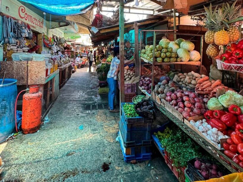 Punta Cana Cultural Tour History and Traditions Small Group - An In-Depth Look at the Tour Experience