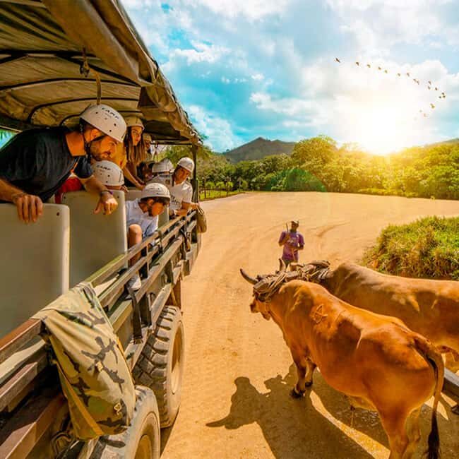 Punta Cana Cultural Tour History and Traditions Small Group - Final Thoughts: Who Will Love This Tour?