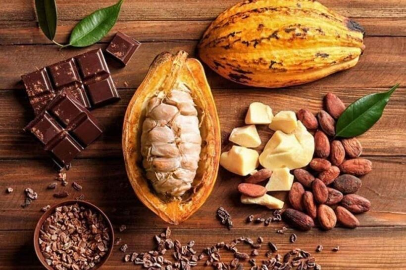 Punta Cana: Cultural Tour with Coffee Tasting, Cocoa & Lunch - Overview of the Tour Experience