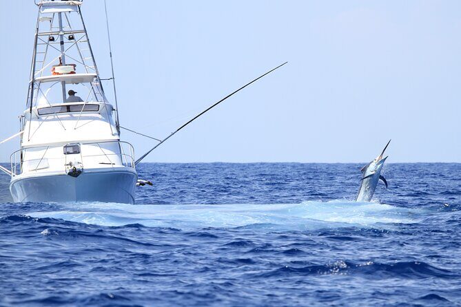 Punta Cana Deep Sea Fishing  Private 4H Charter from Cap Cana - Authenticity and Review Insights