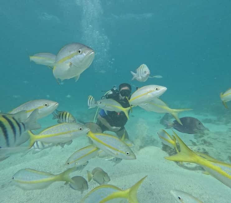 Punta Cana: Discover Scuba Diving Experience for Beginners - Putting the Experience into Perspective