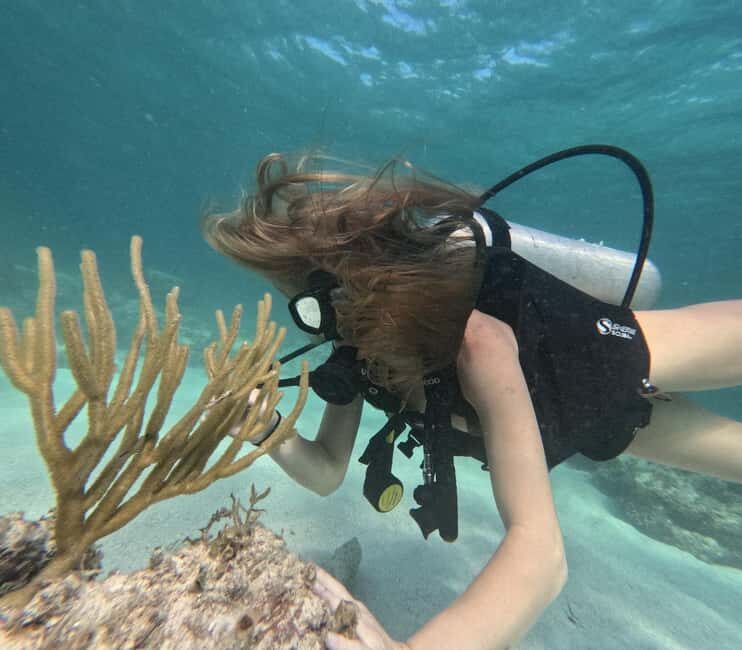 Punta Cana: Discover Scuba Diving Experience for Beginners - FAQ