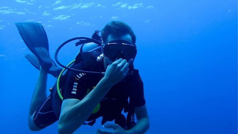 Punta Cana: Dive the Coral Paradise of Catalina Island - An In-Depth Look at the Tour