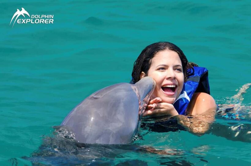 Punta Cana Dolphin Adventure: 40-Minute Interaction - FAQ