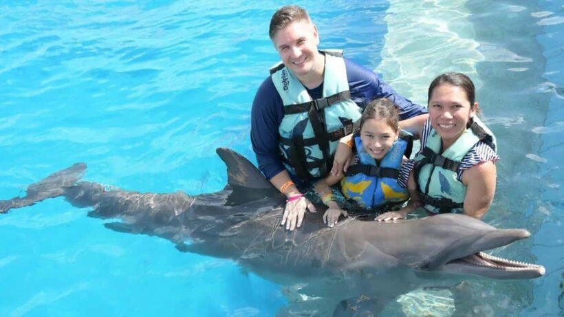 Punta Cana: Dolphin Discovery Park Tour with Hotel Transfers - Key Points