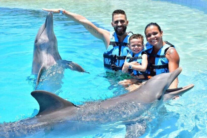 Punta Cana: Dolphin Discovery Park Tour with Hotel Transfers - FAQs