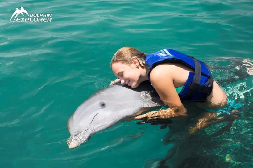 Punta Cana Dolphin Experience: 50 Minutes of Water Fun - The Experience’s Strengths and Considerations