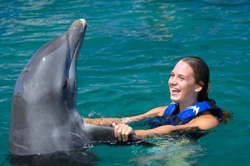 Punta Cana: Dolphin Explorer Swims and Interactions - An Overview of the Dolphin Experience in Punta Cana
