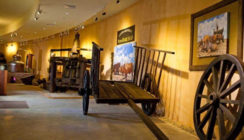 Punta Cana: Dominican Flavors Guided Day Trip - Key Points