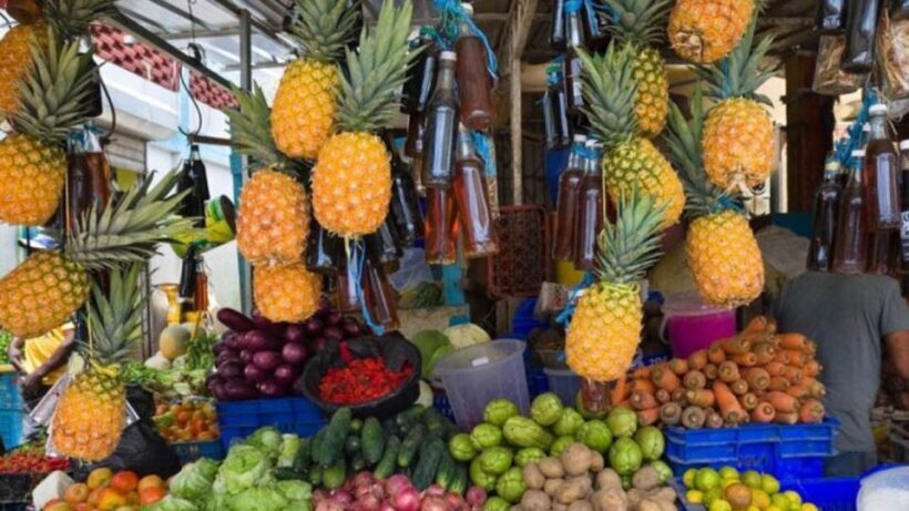 Punta Cana: Dominican Republic Culture Tour - FAQ