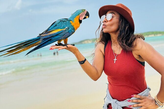 Punta Cana Dominican Republic Small Group Cultural Tour Safari - Key Points