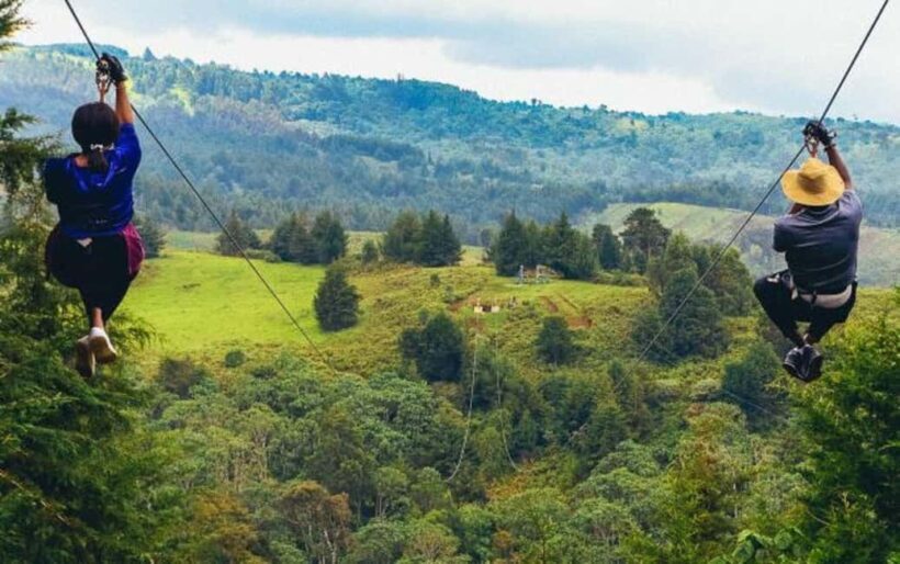 Punta Cana: Domitai Park Zipline, Buggy & Cenote Tour - A Close Look at the Experience