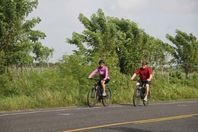 Punta Cana E-bike tour: Macao, El Salado, Ceiba, El Caño - Key Points