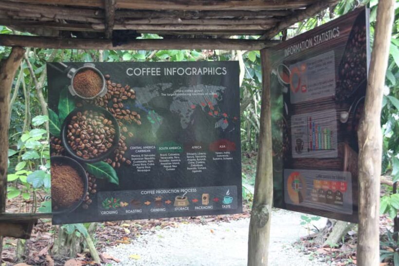 Punta Cana E-bike tour: Macao, El Salado, Ceiba, El Caño - An Honest Look at the Punta Cana E-bike Tour