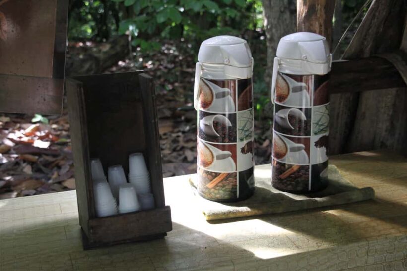 Punta Cana E-bike tour: Macao, El Salado, Ceiba, El Caño - Who Will Love This Experience?