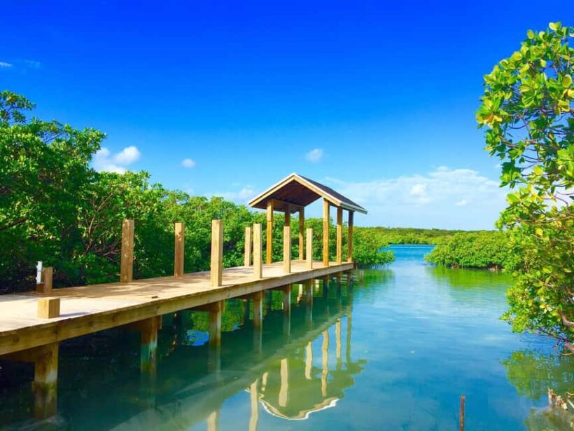 Punta Cana: Ecological Reserve 4x4 Tour with Tastings - The Details of the Punta Cana Ecological Reserve 4x4 Tour