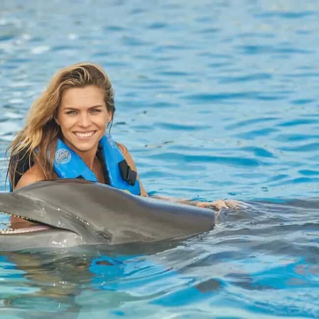 Punta Cana: Enjoy Dolphin Free Hotel Pickup - Key Points
