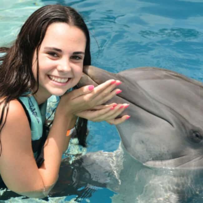 Punta Cana: Enjoy Dolphin Free Hotel Pickup - What to Expect from the Dolphin Experience Tour