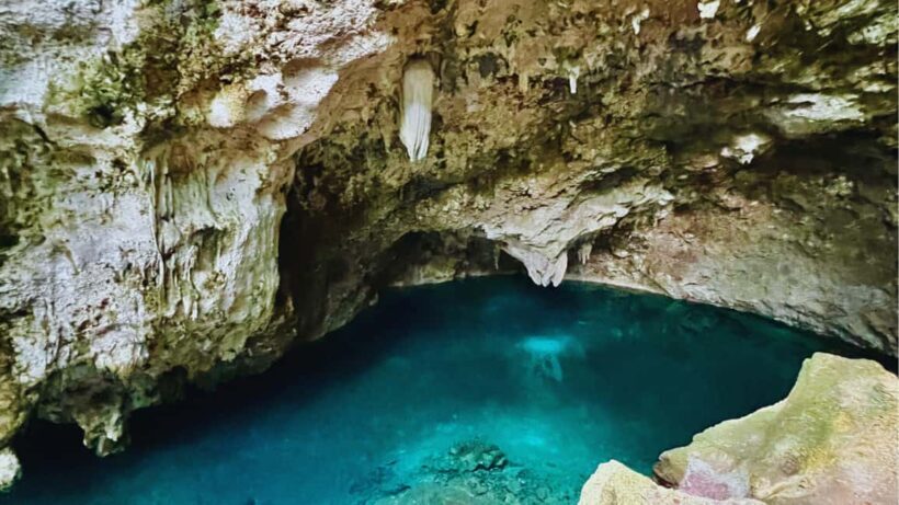 Punta Cana: Experience the essence of Santo Domingo with lunch and the Colonial Zone - Frequently Asked Questions