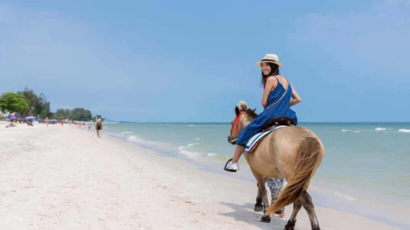 Punta Cana: Full-Day Adventure with Lunch & Drinks - Who Will Love This Tour?