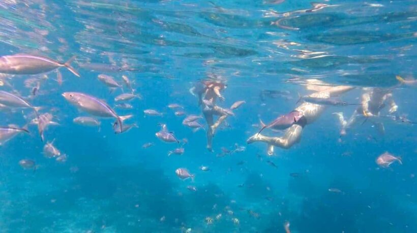 Punta Cana: Full-Day Snorkeling Tour to Catalina Island - The Return Journey and Overall Atmosphere